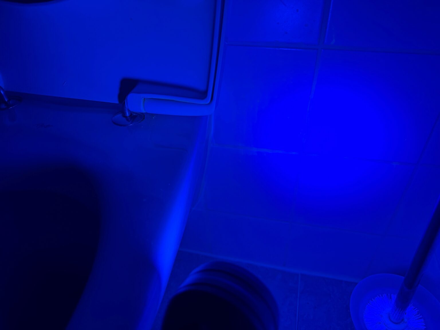 How to Effectively Detect Urine with a UV Blacklight Lamp - Ecodor
